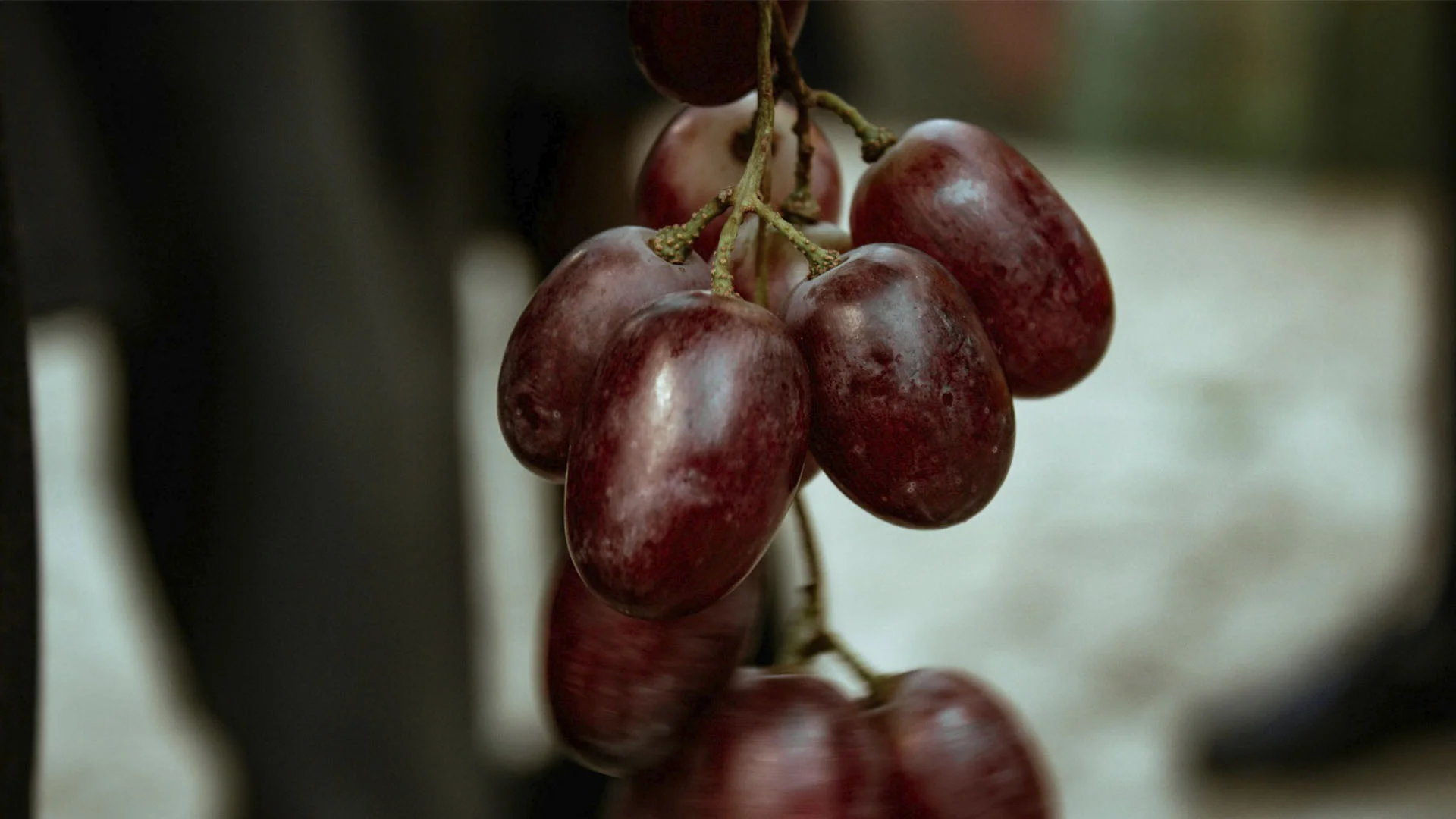 Understanding the Niagara Grape Varietal: Flavor and Characteristics